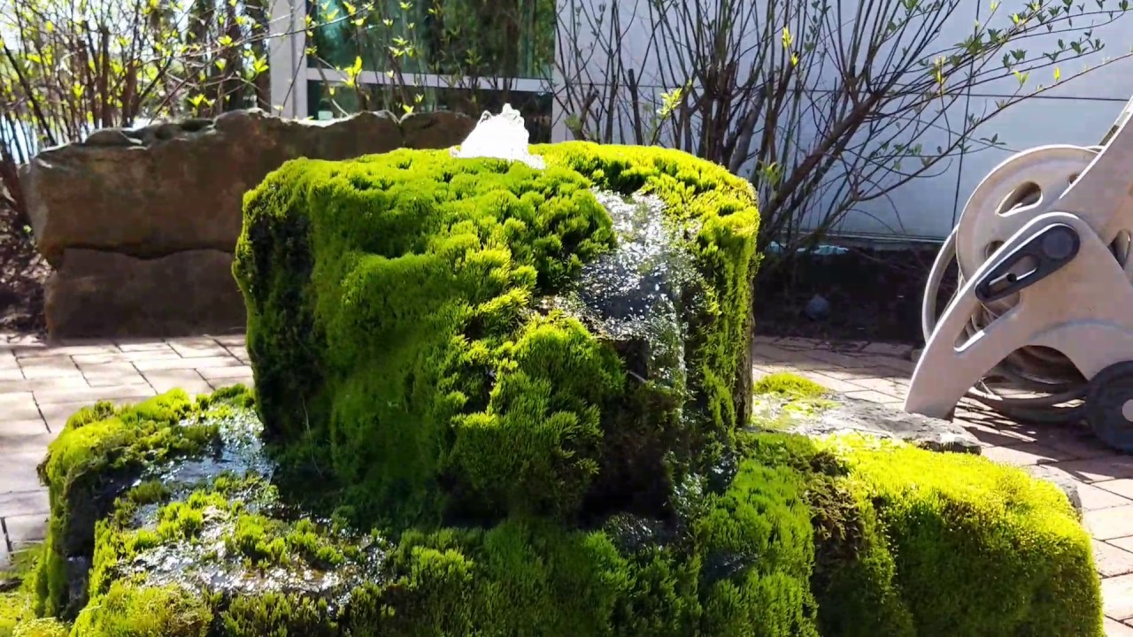 Zen bubbling fountain covered in moss - YouTube