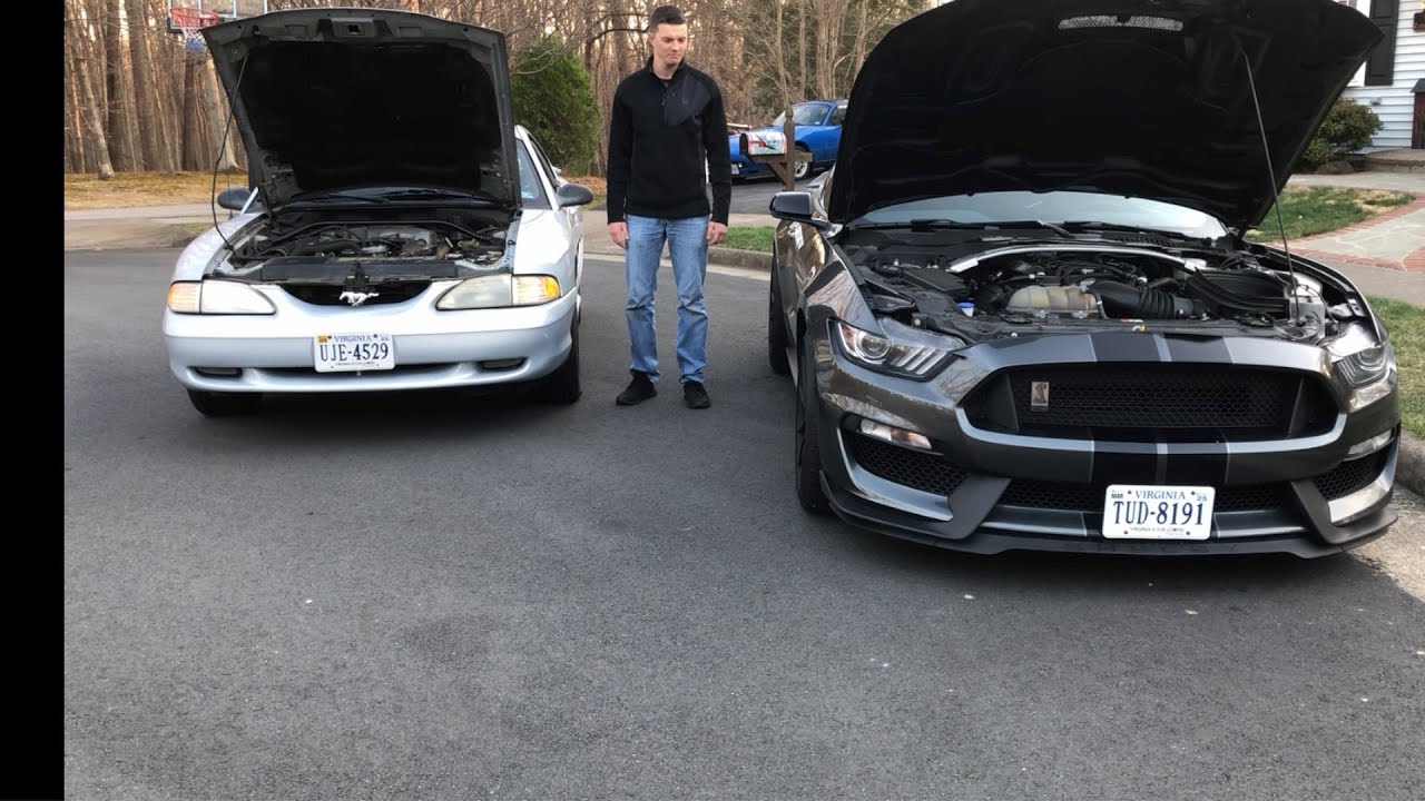 Cost Comparison Between Shelby GT350 and 95 GT - YouTube