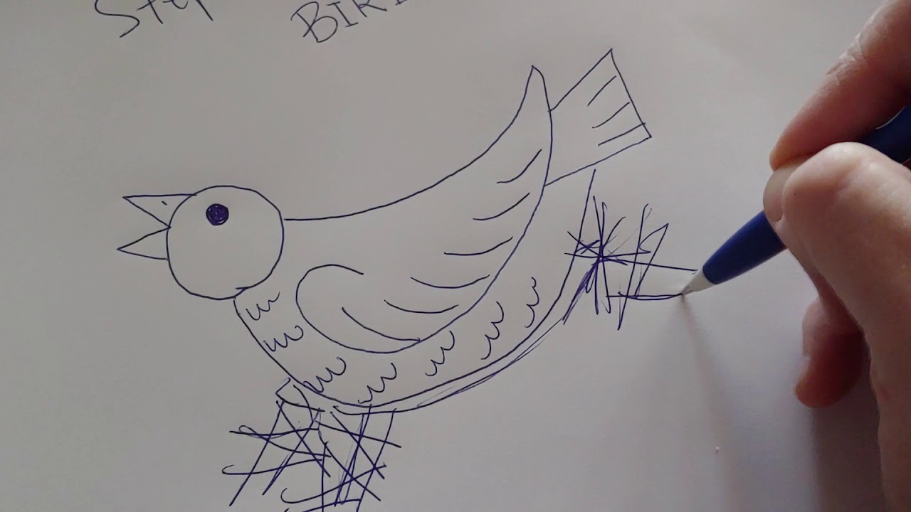 BIRD step by step drawing - YouTube