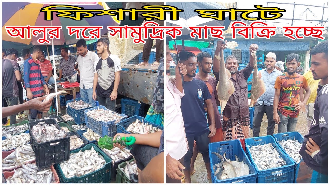 ফিশারী ঘাটের সামুদ্রিক মাছ আলুর দরে বিক্রি হচ্ছে কম দামে।Sae Fish ...