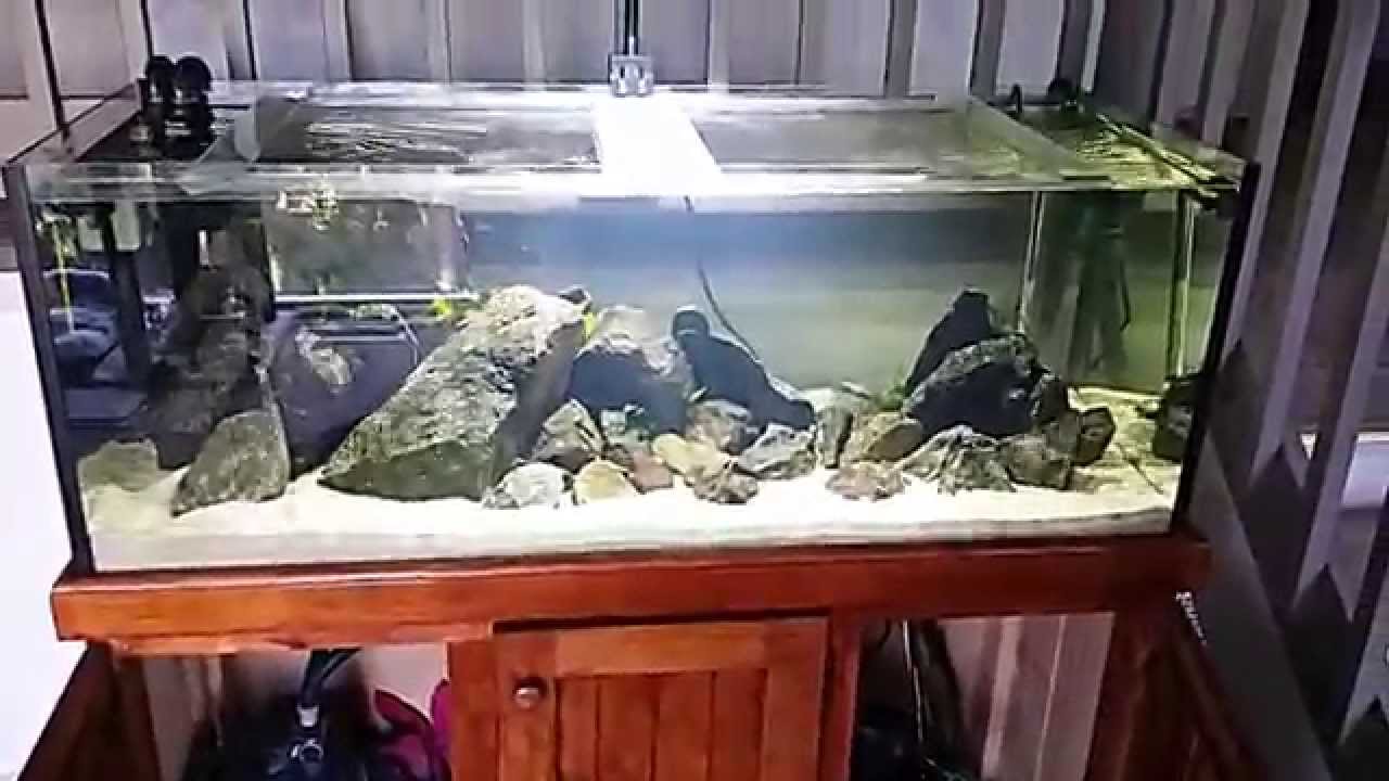 4ft Cichlid Tank Setup - YouTube