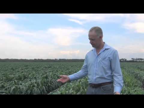LandcareNT - Episode 14: Cover Crops