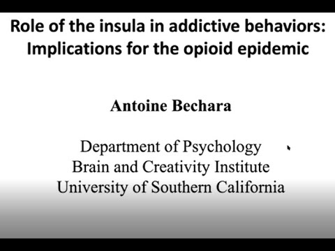 Antoine BECHARA: Role of the insula in addictive behaviors: Implications for risk perception ...