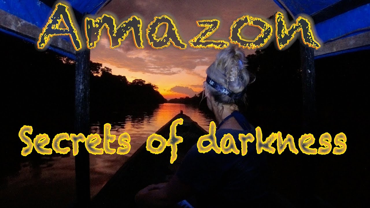 Amazon jungle night walk #colombia (24) #jungle #amazon - YouTube