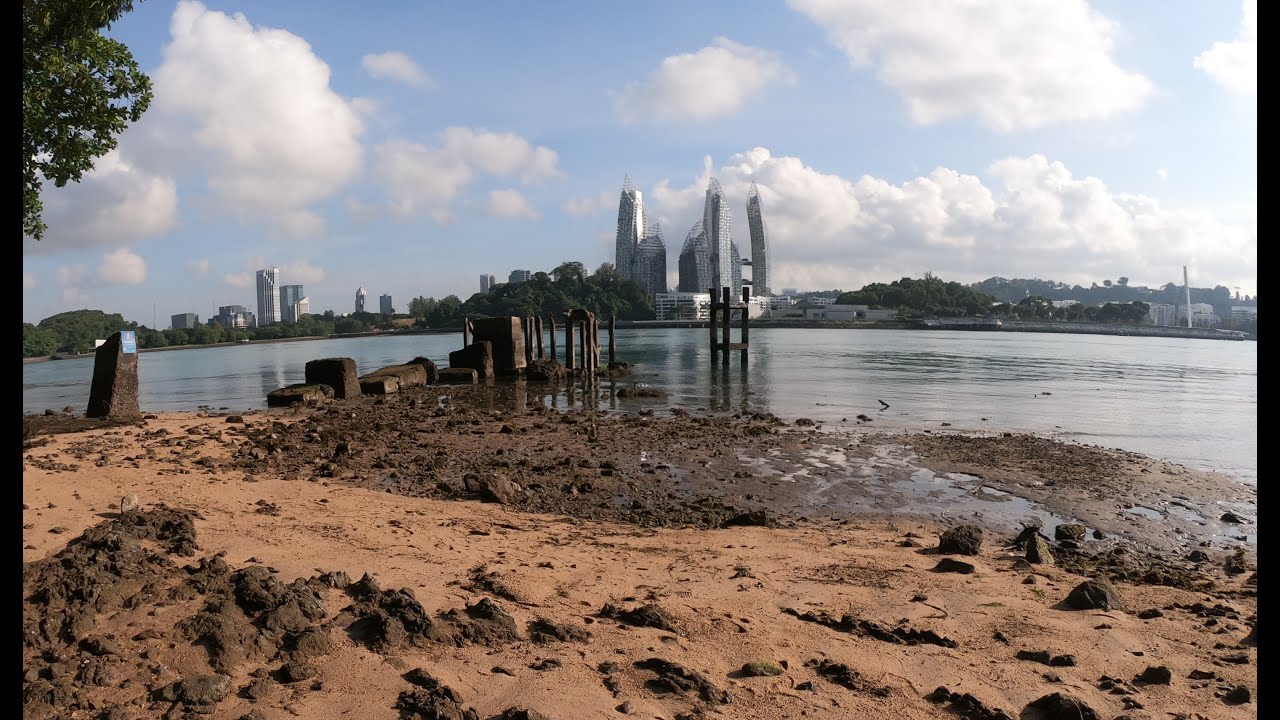 Sentosa Siloso Beach Intertidal Flora & Fauna - YouTube
