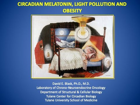 Circadian Melatonin, Light Pollution And Obesity - YouTube