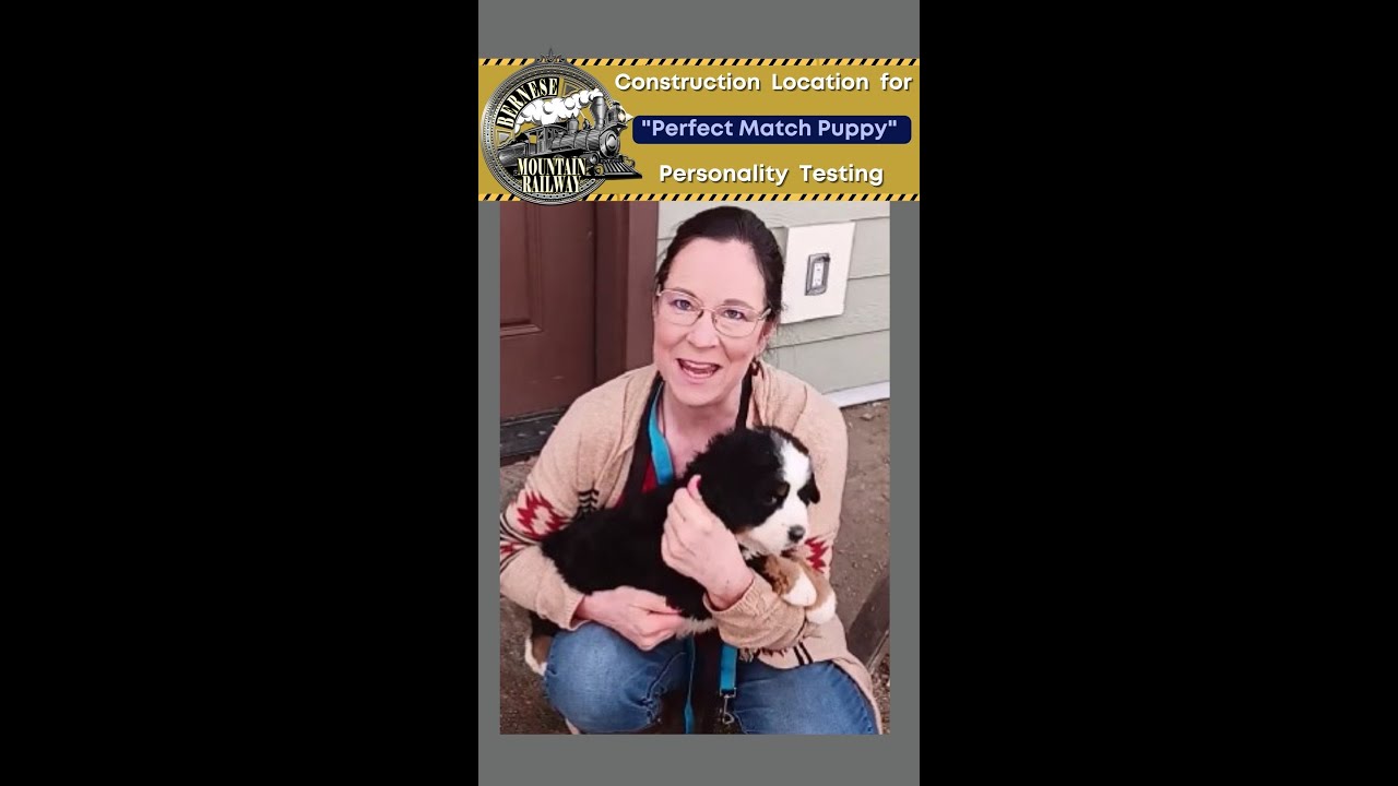 Intro to our "Perfect Puppy Match" Temperament Testing - YouTube