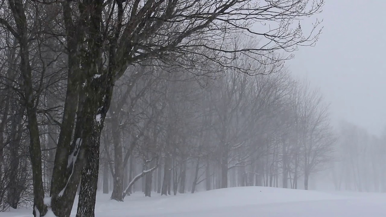 Snow relaxing music 1080 FHD 60fps - YouTube