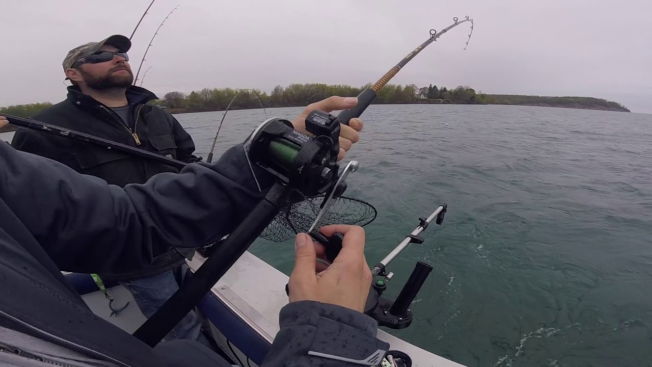 Sodus Bay Fishing May 12 2018 Browns and Kings - YouTube