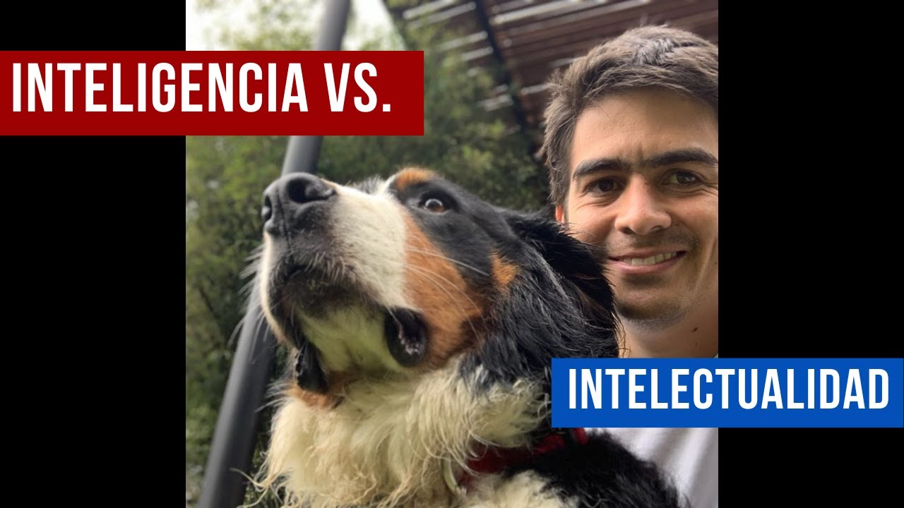 La diferencia entre inteligencia e intelectualidad - YouTube