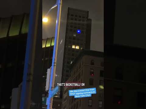 This in a New-York-City-based #bfdi discovery! - YouTube