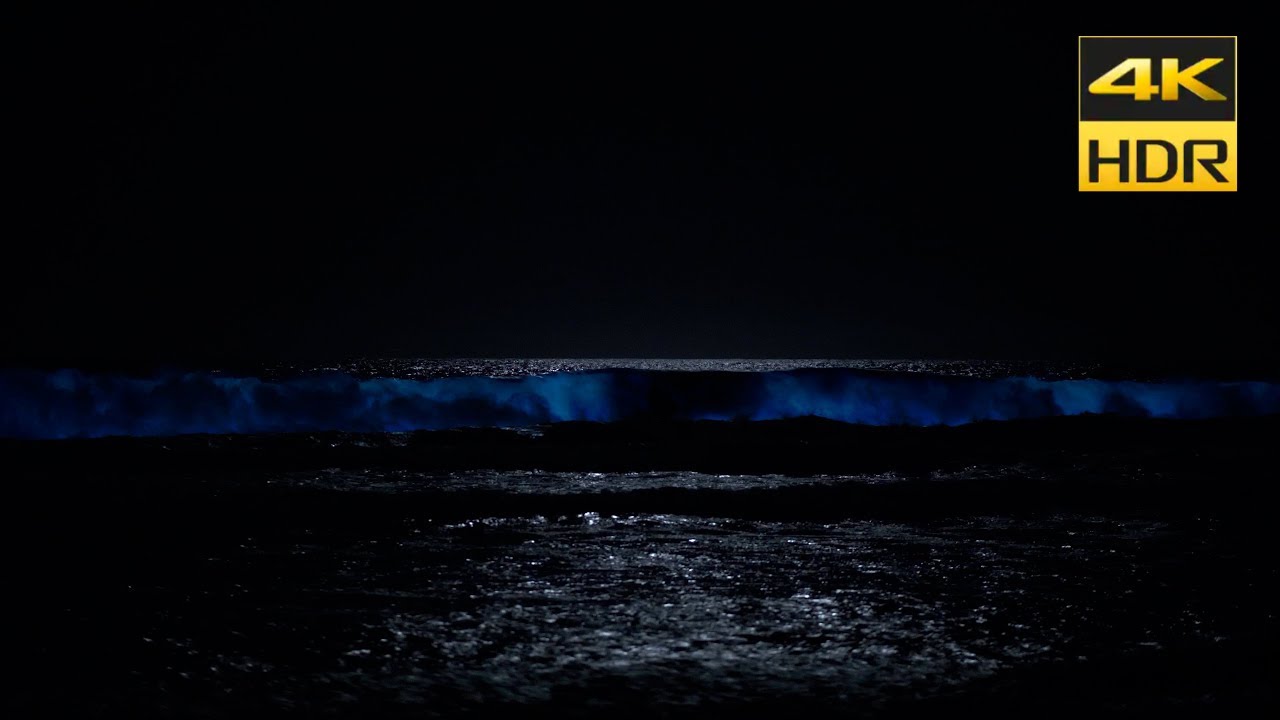 2 Hour Bioluminescent Waves for Deep Sleep || 4K HDR Digital Wall Paper ...