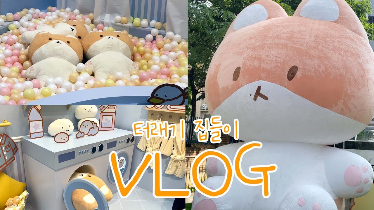 Eng Vlog๐ค๋ฐฑํ์ด ํฐ๋๊ธฐ ์ง๋ค์ด ์ฑ์ ํ์
์คํ ์ด ๊ฐ์ฑ  ๋ฝ๊ธฐ ๋๋ค ๋ญํค์นด๋ ๋์ ํฐ๋๊ธฐ ์์์ ๋ธ์ด๋ก๊ทธ