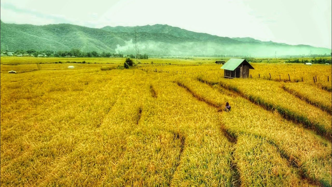 Its not Bali, its HAIPI VILLAGE ||One of the Cleanest village in INDIA ...