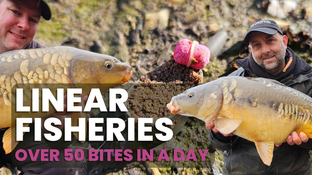 VLOG4 – LINEAR FISHERIES FLOAT LAKE - 50 BITES IN A DAY - YouTube