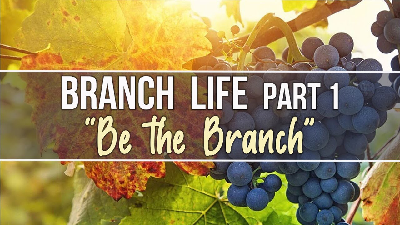 Be the Branch - Part 1 - YouTube