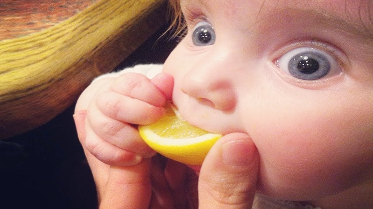 Funny baby reaction To Everything #2 - YouTube