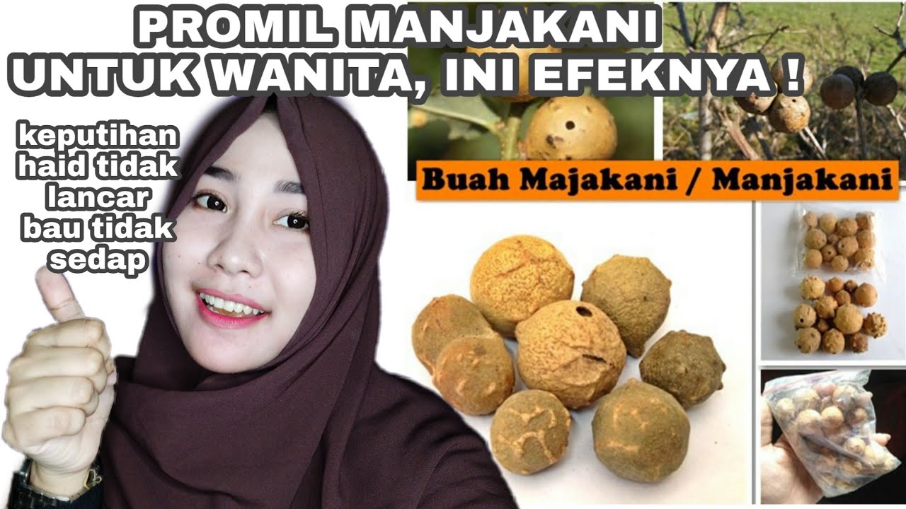EFEK PROMIL ALAMI DENGAN MANJAKANI|Ucy Binti Khrusni - YouTube