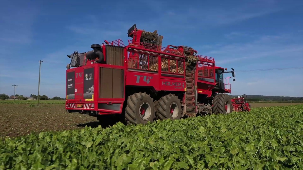 Holmer T4-40 Sugar Beet harvesting working in East Yorkshire - YouTube