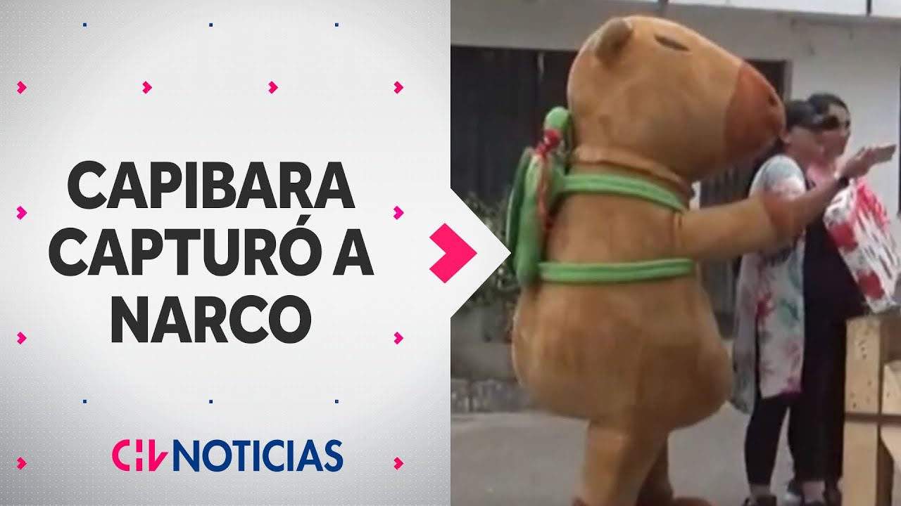 CAPIBARA CONTRA NARCOS: Policía peruano se disfrazó para capturar a ...