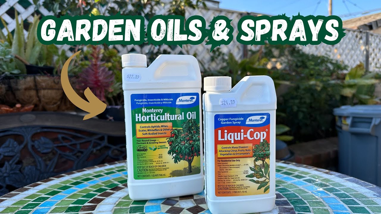 Creating Paradise 067 | Spraying our Fruit Trees & Roses: Dormant Oils ...