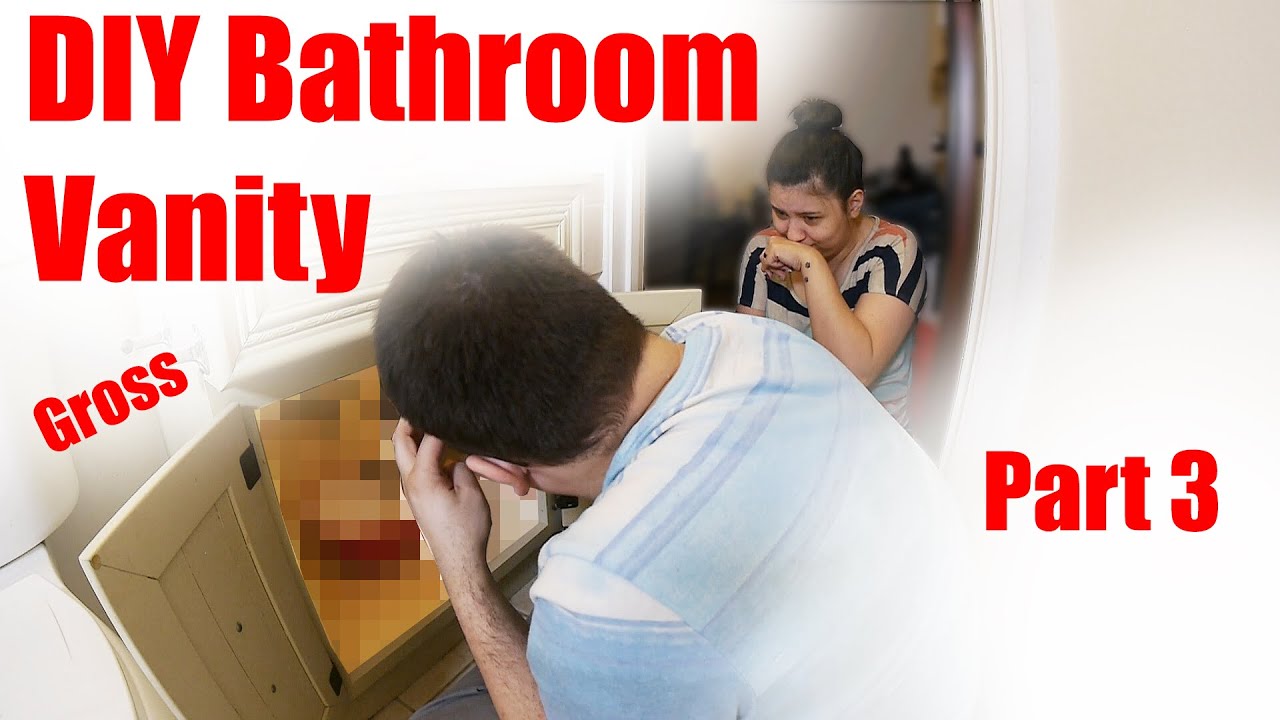 DIY Bathroom Vanity Build | PART 3 | Demo and Install - YouTube
