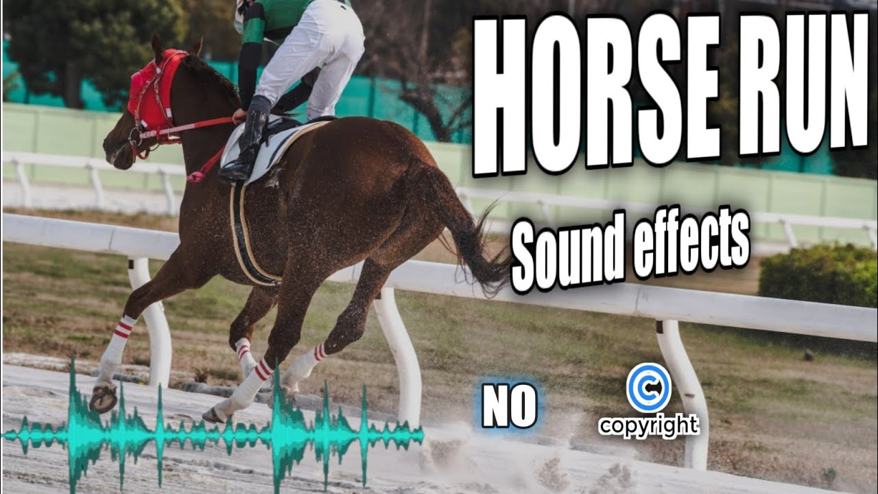 Horse galloping | Horse running sound effect without copyright - YouTube