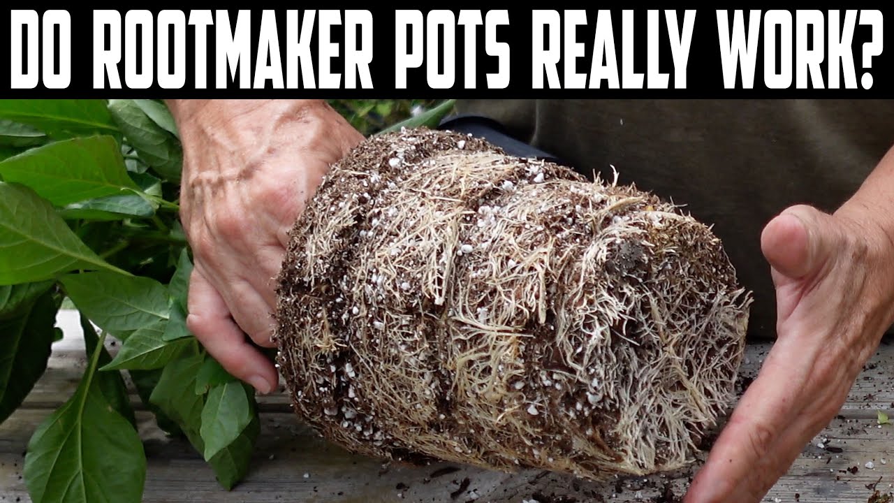 Do Rootmaker Pots Really Work? - YouTube