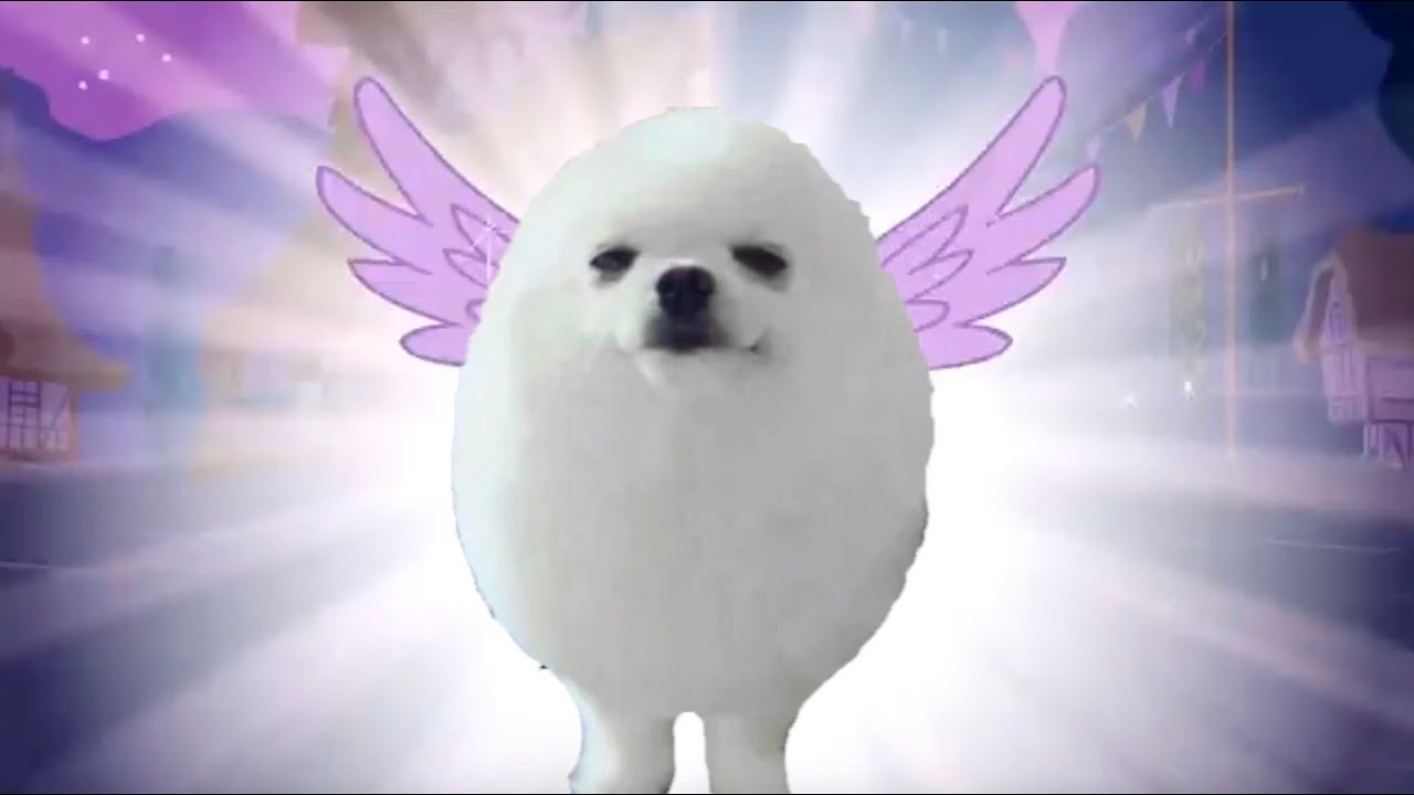 Basically the evolution of Flying Pomeranians (MLP a new generation ...
