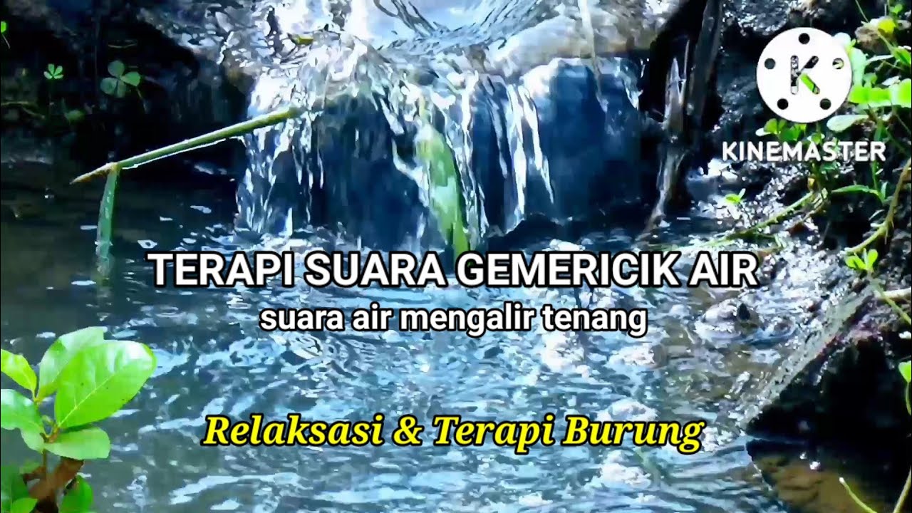 terapi suara gemericik air mengalir tenang | terapi air untuk burung ...