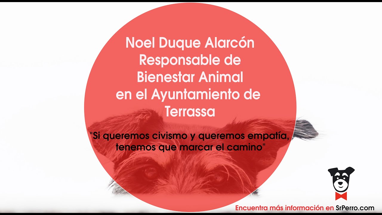 Una charla con Noel Duque Alarcón, responsable de Bienestar Animal en ...