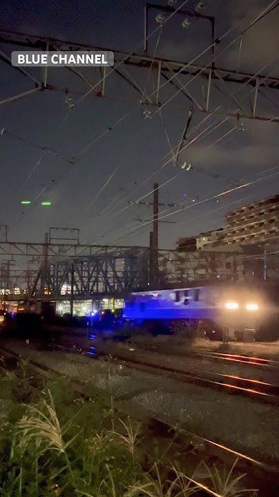 (貨物列車) 2024/10/16 2060レ EF210-16 + コキ22B (安治川口〜東京タ) #Shorts - YouTube