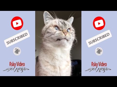 Amazing videos compilation #1 - YouTube