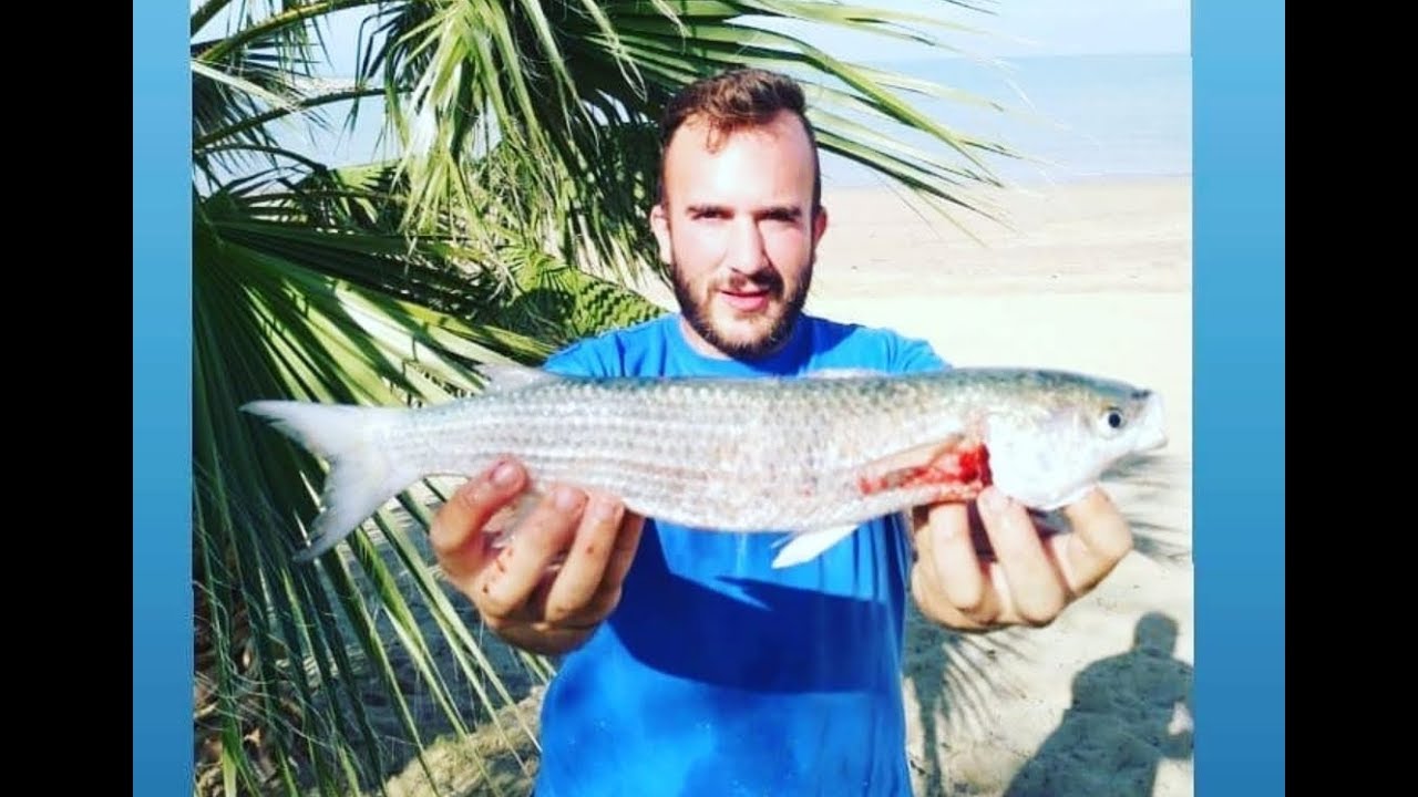 la mejor pesca con atarraya, pesca con atarraya en chipiona [playa ...