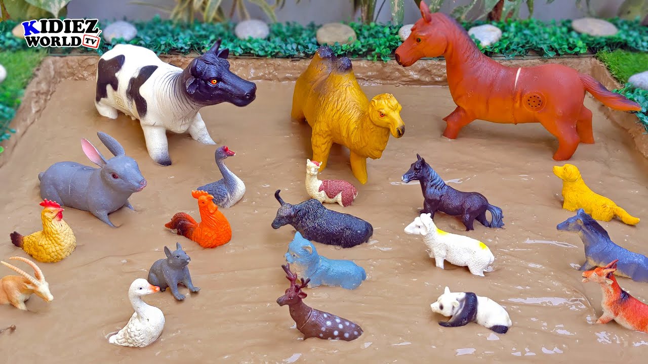 Muddy Adventures: Farm, Domestic, and Pet Animals in the Mud | Kidiez ...