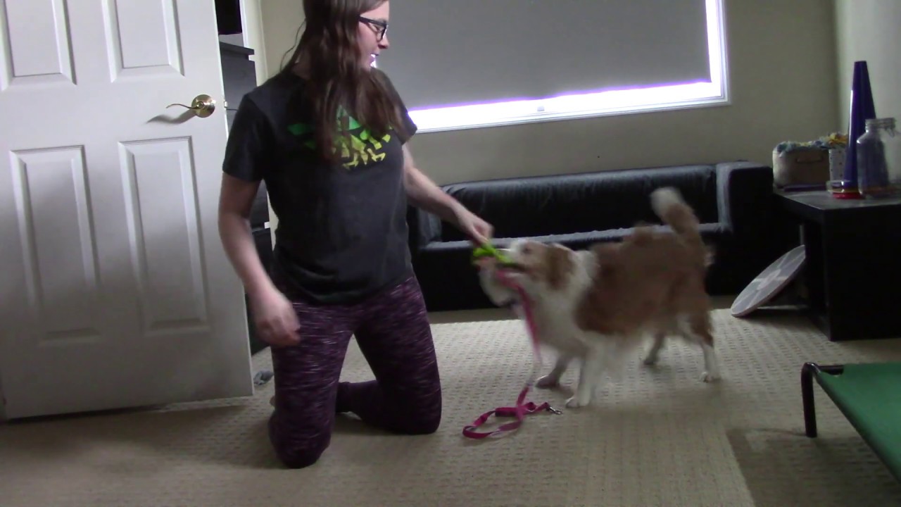 Hand Target Tug - YouTube