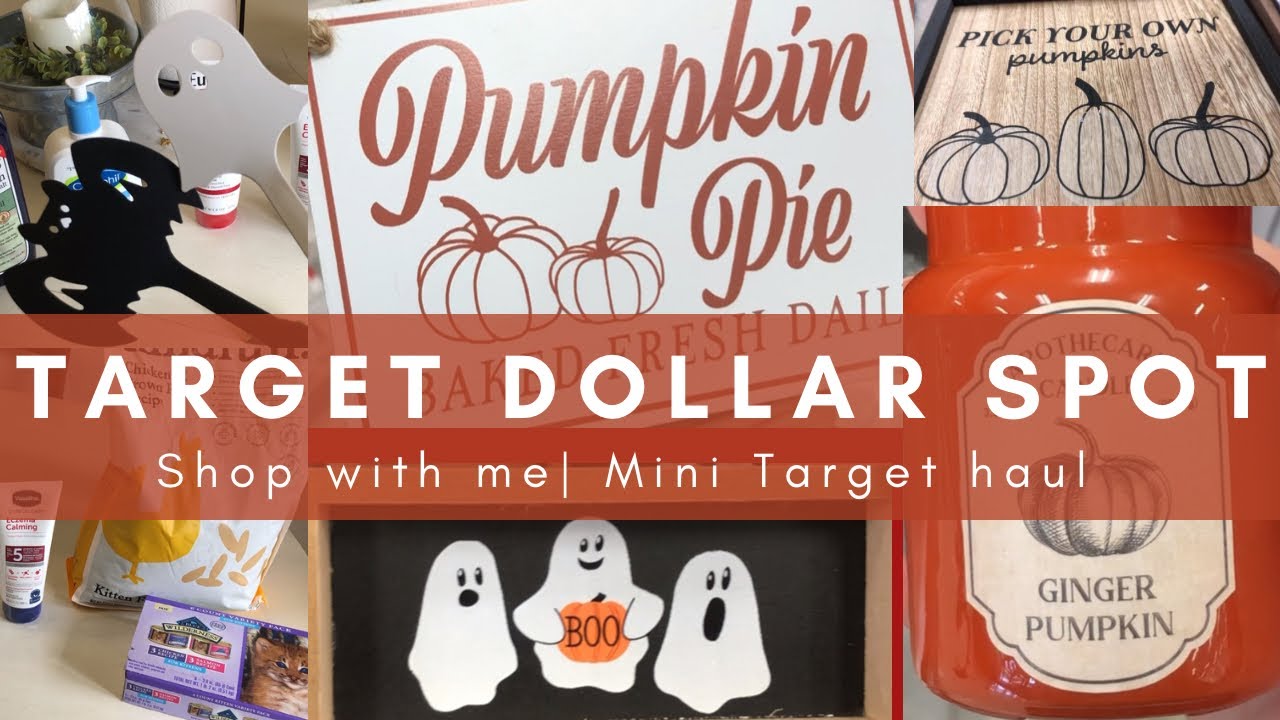 Target shop with me | Mini Target shopping haul - YouTube