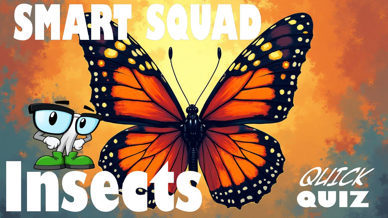 Smart Squad Quick Quiz - Insects - YouTube