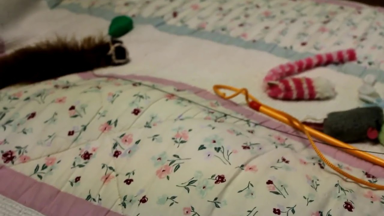 Lump In This Bed MOV YouTube lump-in-this-bed-mov-youtube