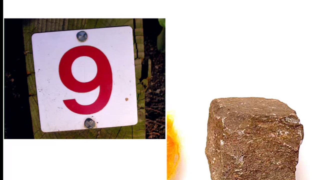 Philosophy 3 Lecture 06 Ned Block's "Troubles with Functionalism" - YouTube