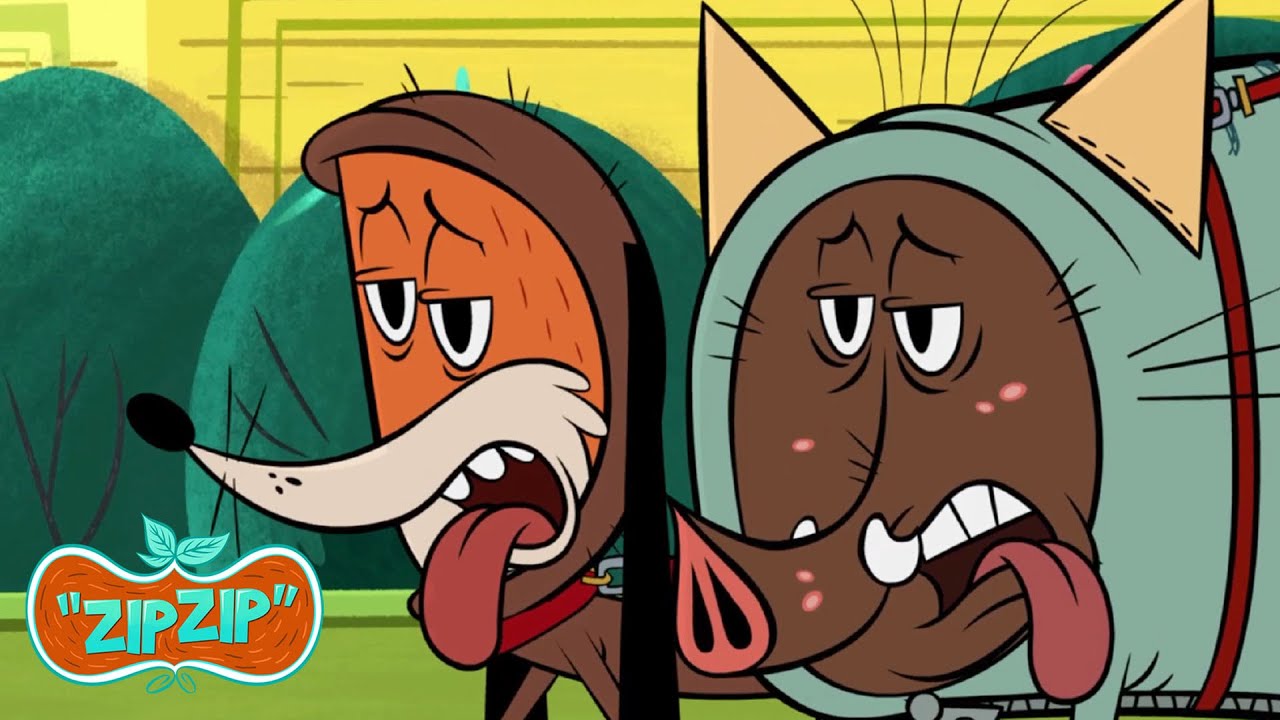 A nice long walk... | Zip Zip | 2 hours COMPILATION - Season 1 ...