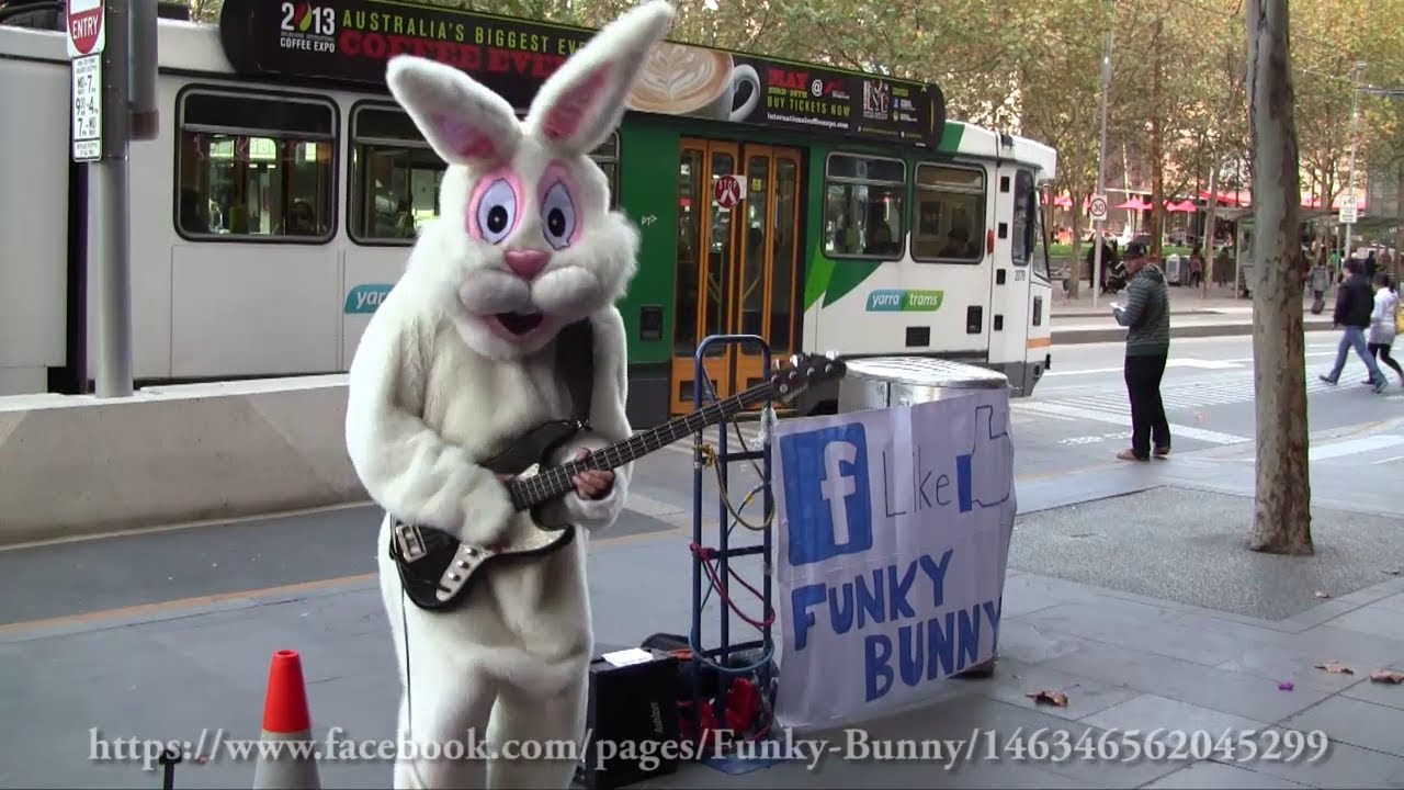 Melbourne's Funky Bunny - Various Covers 1 - YouTube
