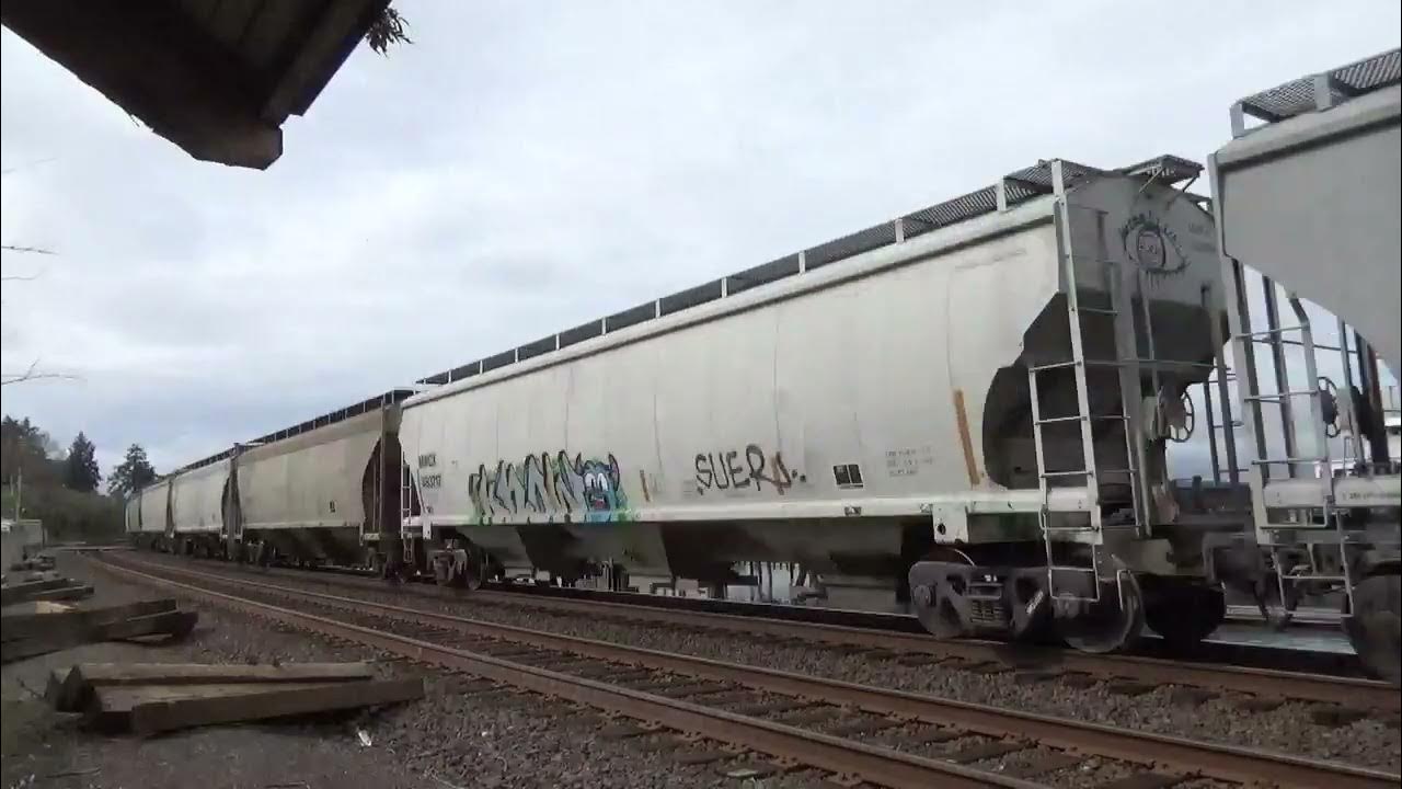 (Northbound) BNSF Empty Grain Train BLAST THROUGH the Steilacoom Ferry Terminal. - YouTube