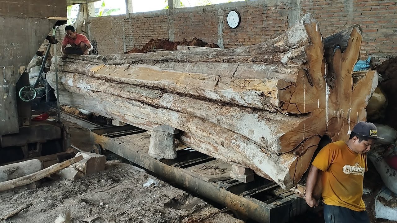 GIANT TEAK WOOD !! Amazing Technique of Sawing Big Wood - YouTube