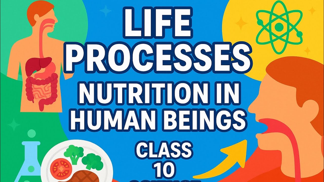 “Class 10 Science: Life Processes – Human Digestion Made Easy (Part 2 ...
