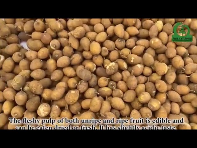 Kada NGBALE On X: The Adua Fruit Which Qualifies The Late, 49% OFF