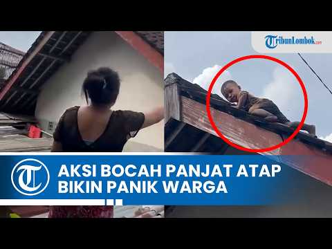 VIRAL Aksi Balita Panjat Atap Rumah di Lombok Tengah yang Bikin Deg-degan