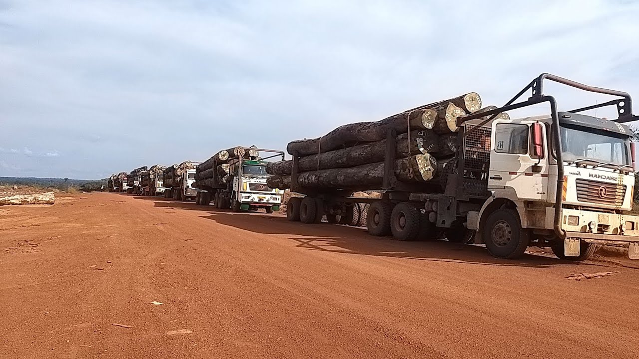 CONVOI LOGGING TRUCK AFRIKA HARI INI 7 UNIT....#pejuang devisa#🇬🇦🇬🇦 ...