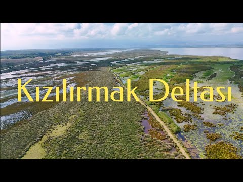 Kızılırmak Deltası 4K Drone | Karadeniz’in Eşsiz Doğası