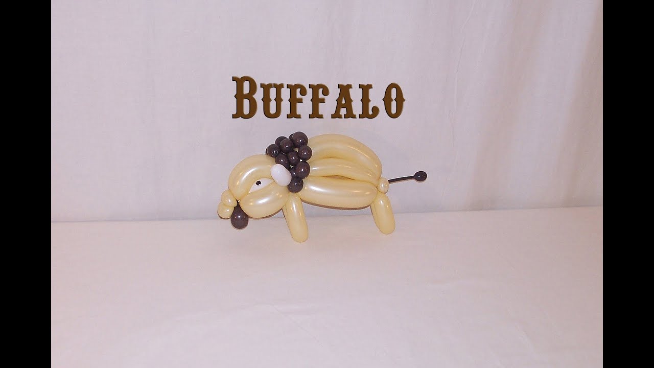 Learn how to make a balloon animal Bison or Buffalo using balloon ...